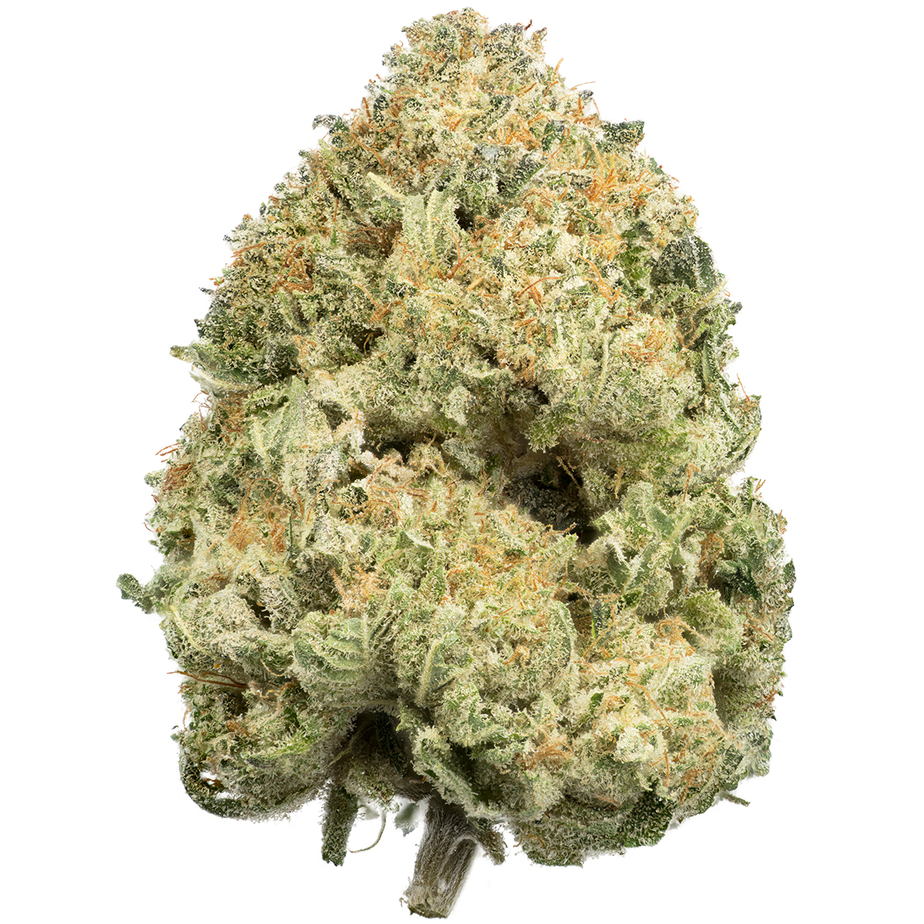 Sensi Star - Weed Delivery Same Day - Tropic Exotic Weed